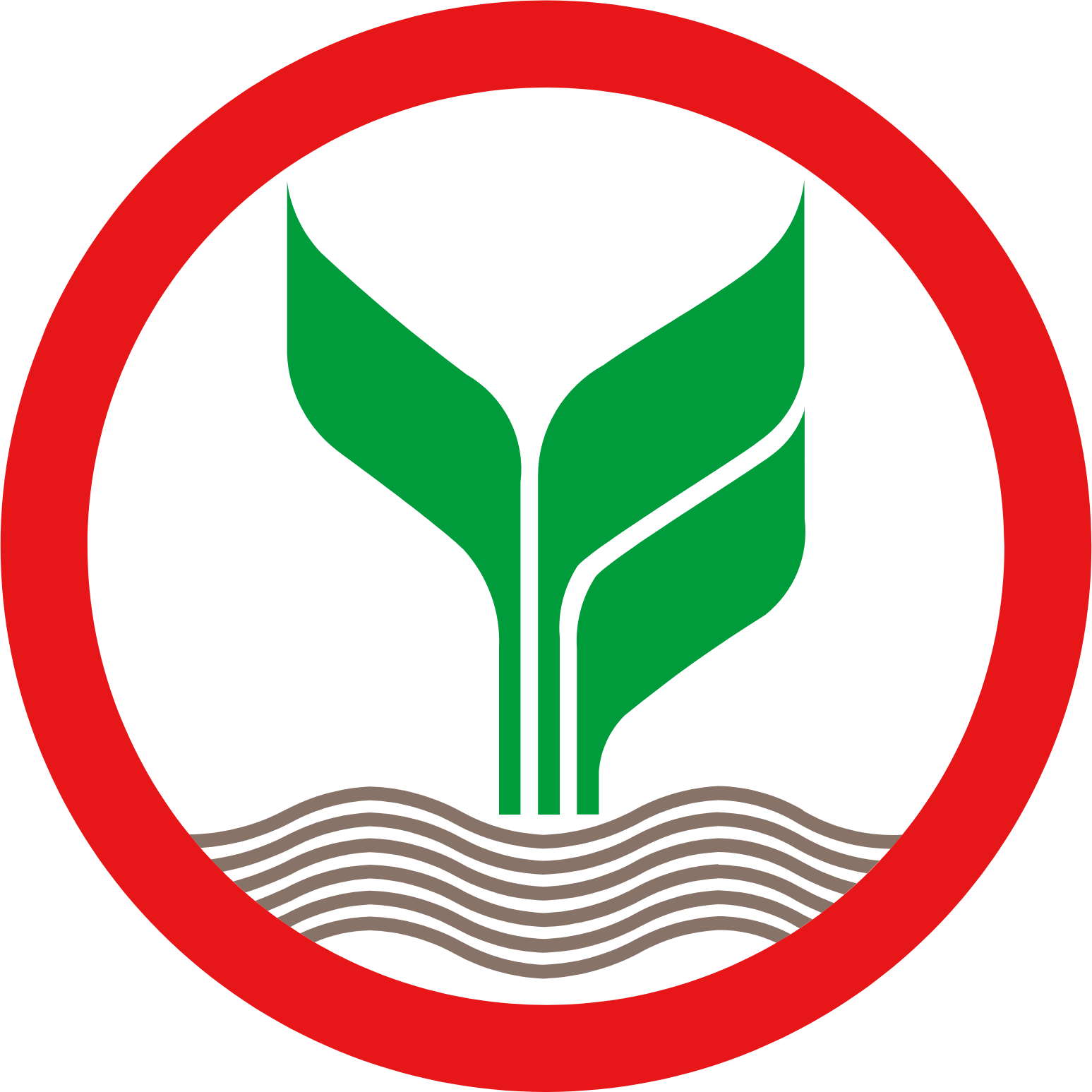 Kasikornbank logo in transparent PNG format
